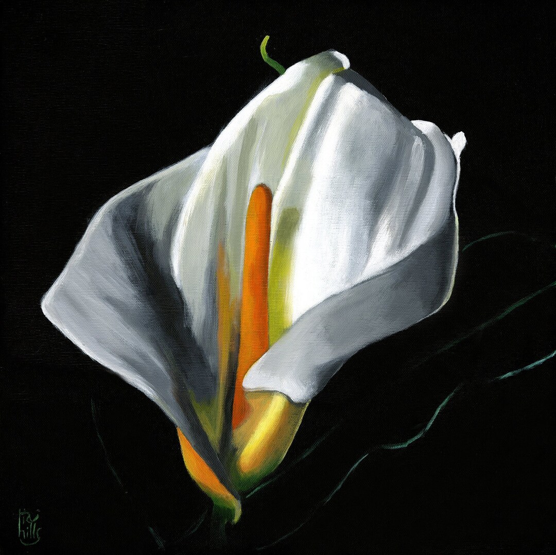 Calla Lily Painting Floral Art - Etsy
