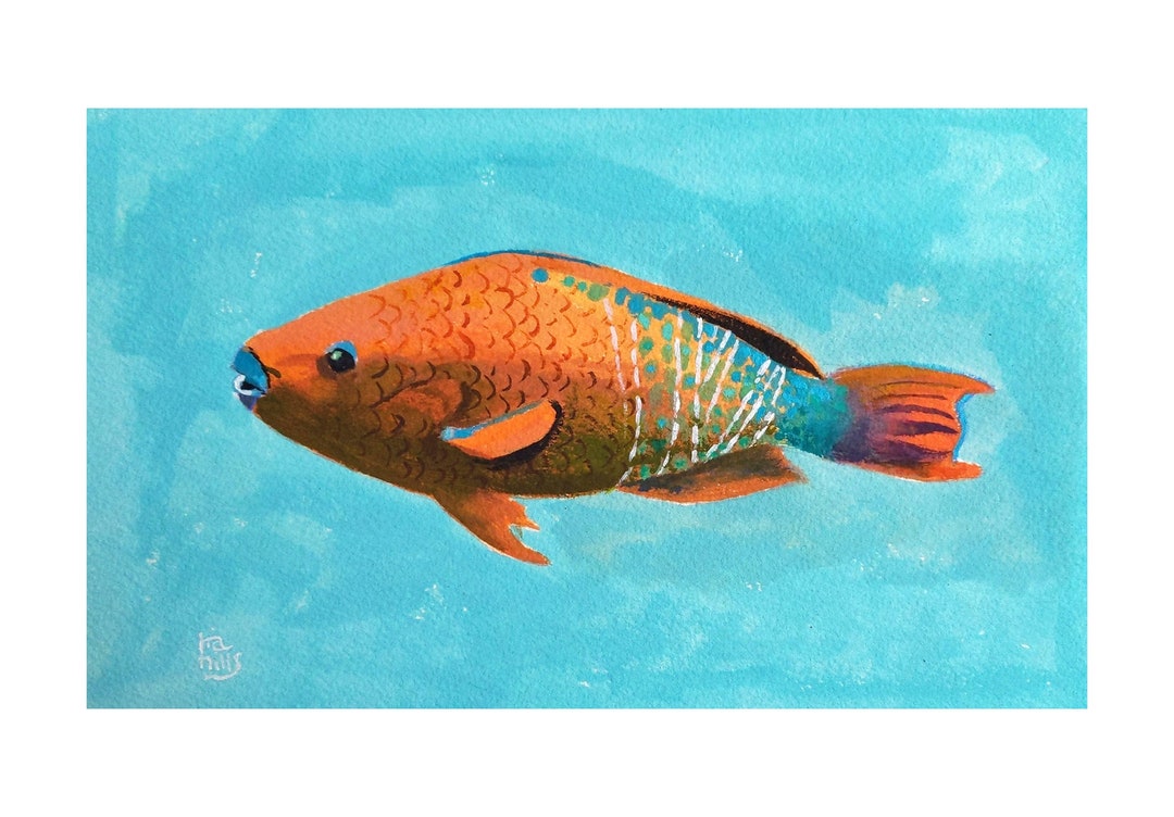 Colorful Parrotfish Painting, Tropical Fish Art - Etsy