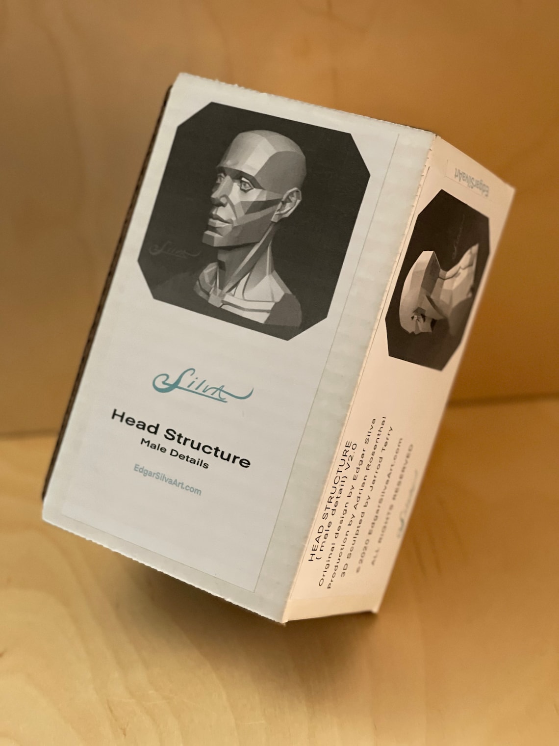 Head Structure V2.0 - Etsy