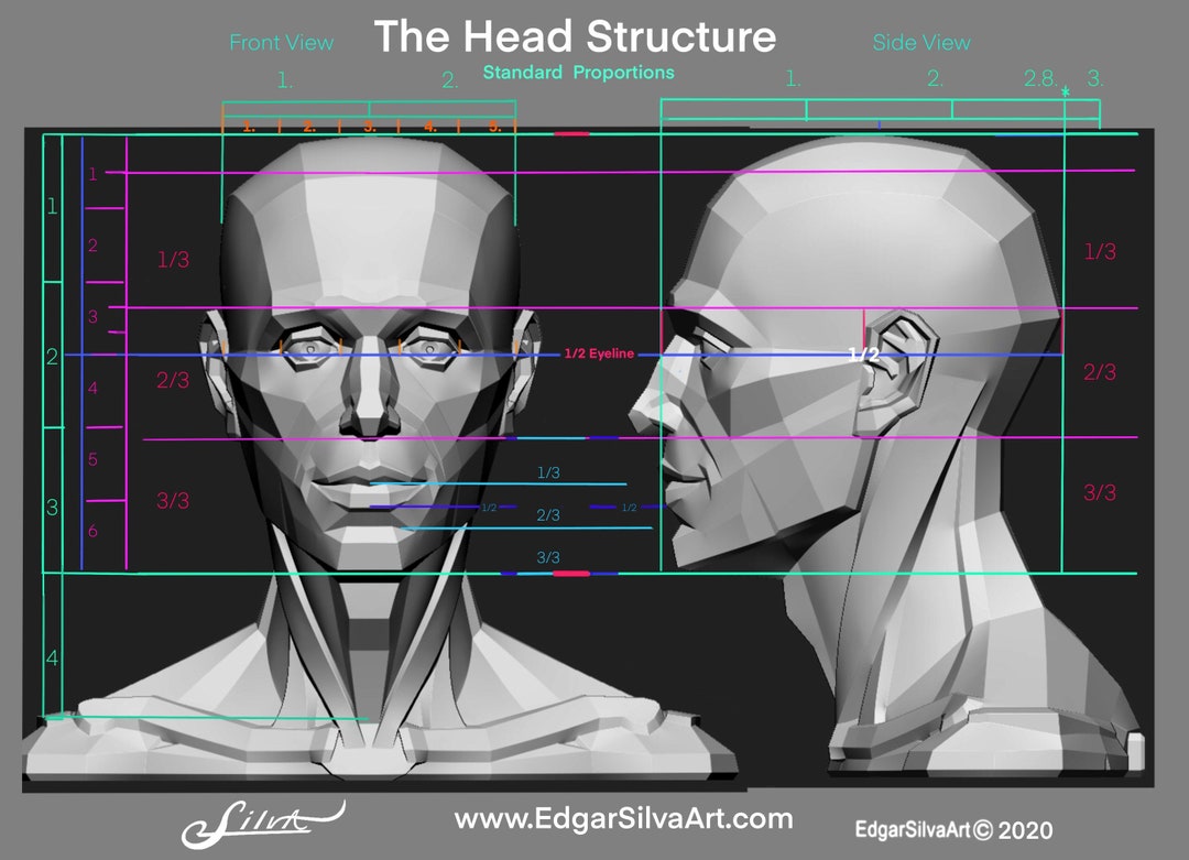 Head Structure V2.0 -11” Inches Tall - Etsy