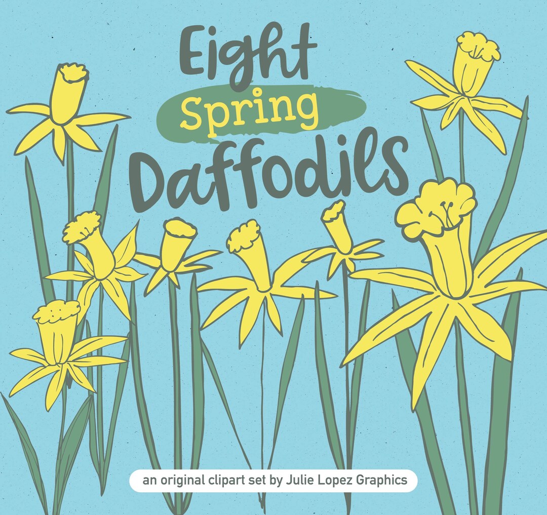 Spring Clipart / Daffodil / Cute / Hand-drawn / Cartoon Clip Art ...
