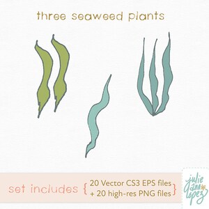 Shark Clipart / Sea Life / Downloadable Clip Art / Commercial Use ...