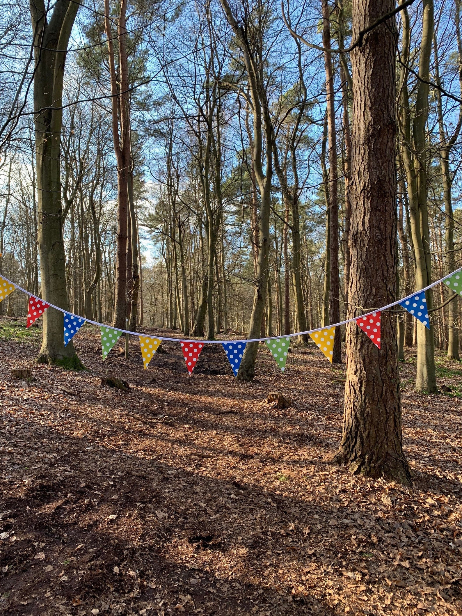 Outdoor Bunting Bright Spotty Bunting Waterproof Party - Etsy UK