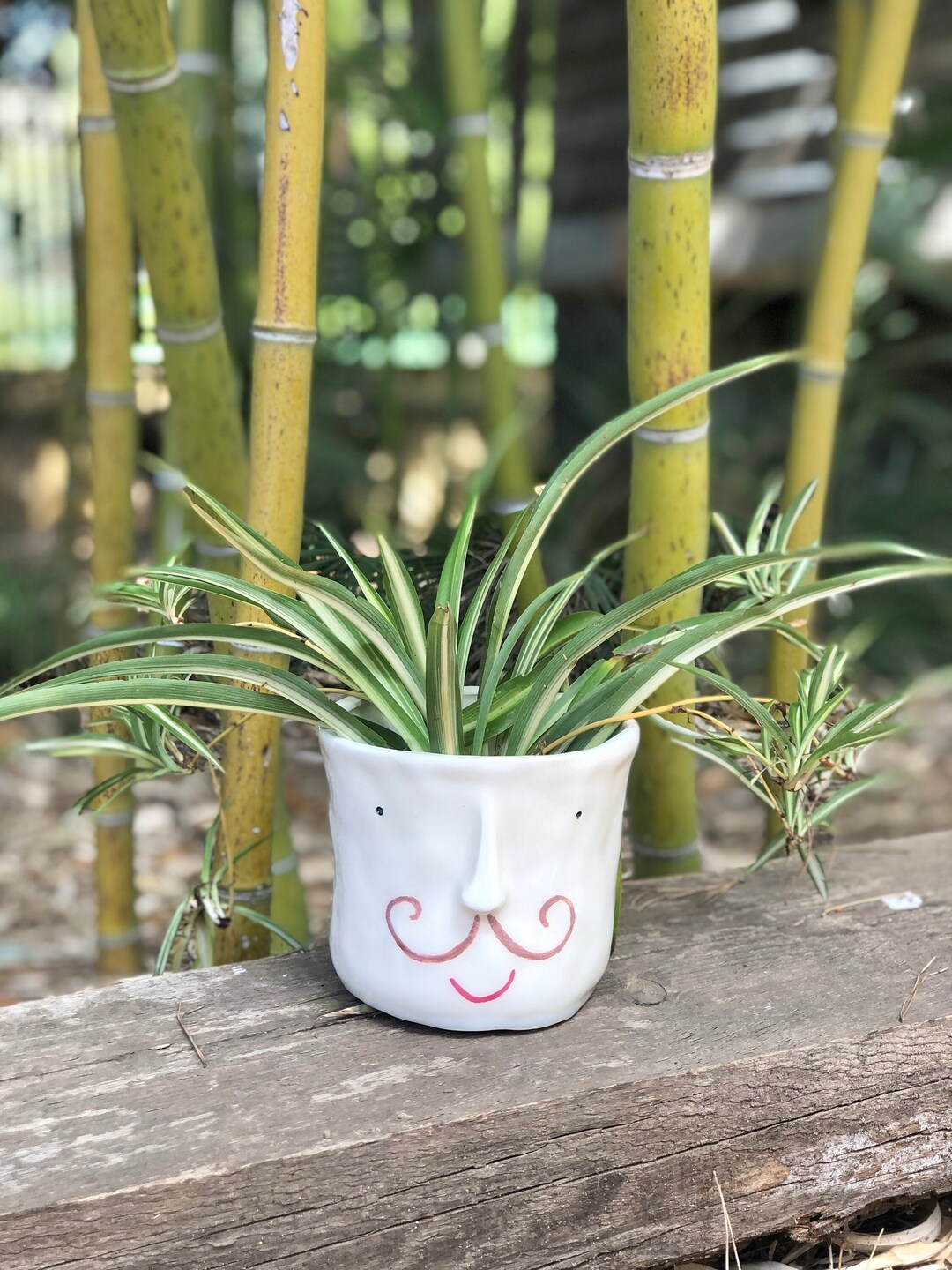 ALEX Nice Flower Pot With Faces, Ceramic Flower Pot, Indoor Decoration ...