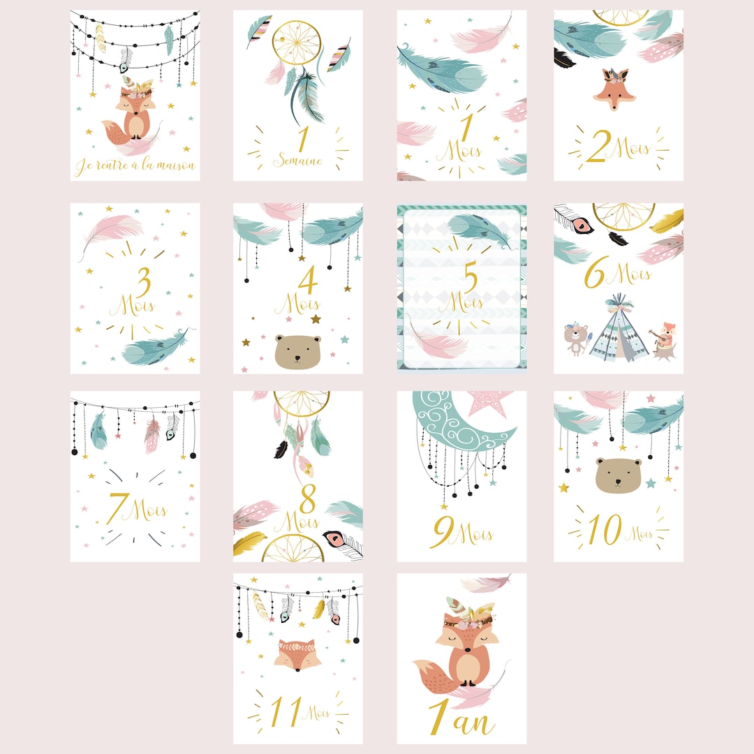 Baby Milestone Cards My First Year Month by Month Set of 14 Photo Paper ...
