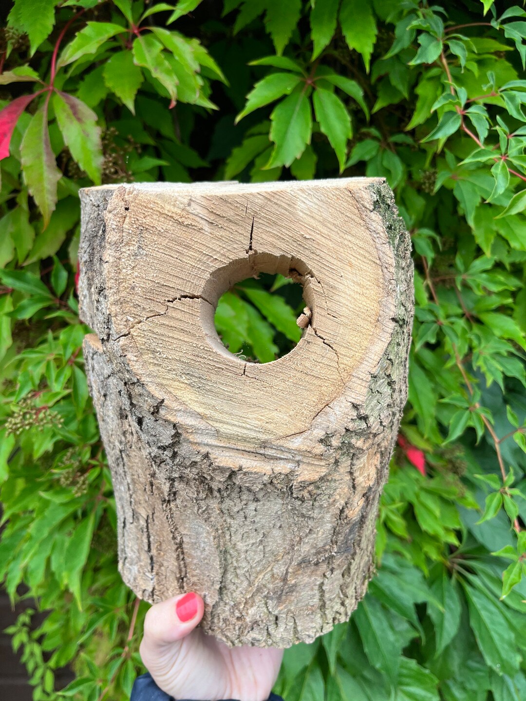 Log Bird Box Front, Natural Log With Knot Hole for Bird Box Front, Bird ...