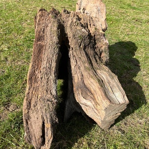 Very Large Tree Root Great as a Garden Stumpery Ornament, Tree Stump ...