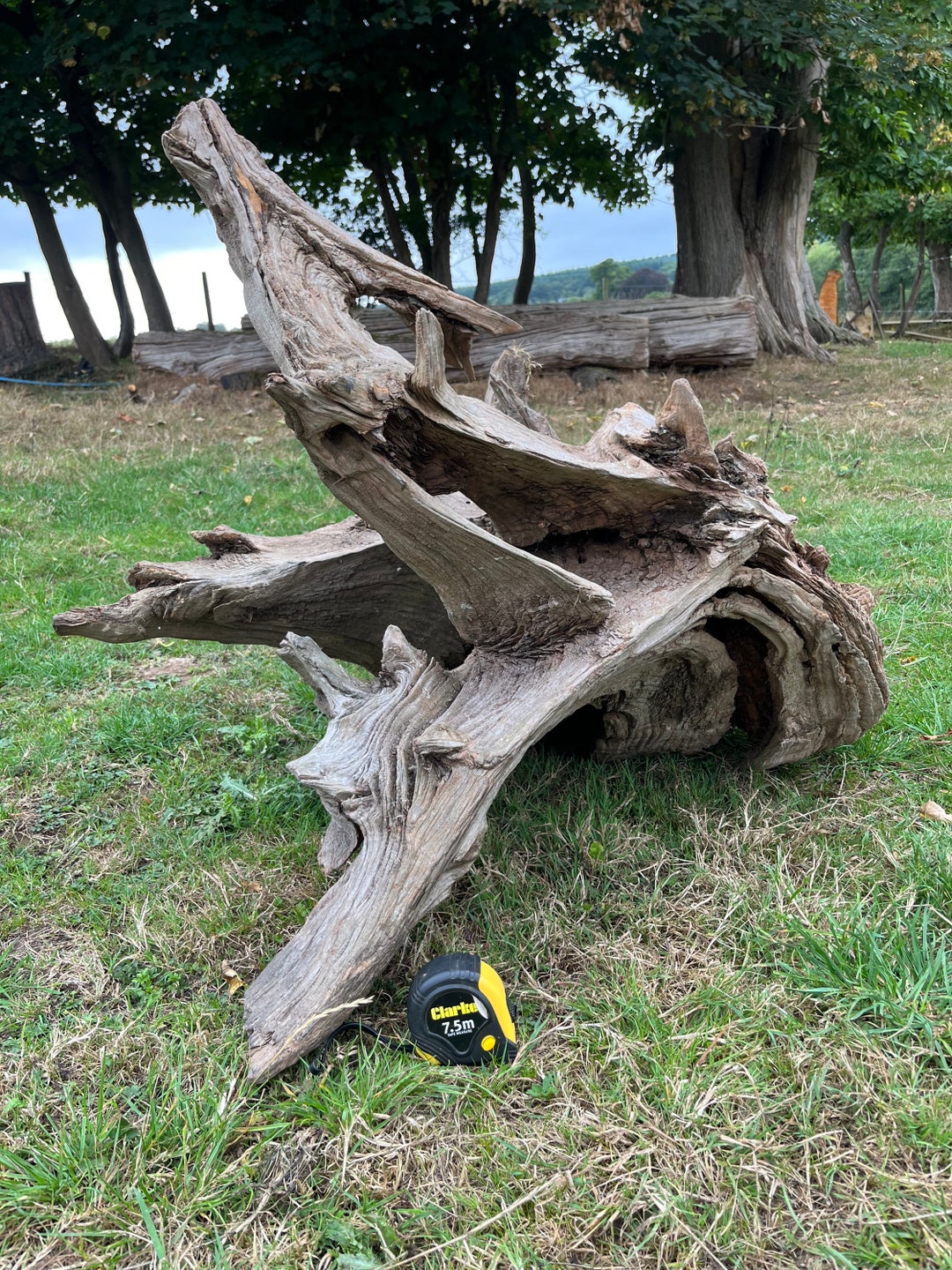 SOLD! * More Available * Large Tree Root Great as a Garden Stumpery ...