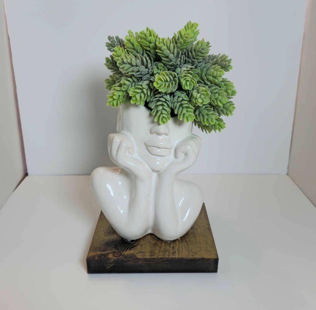 Eclectic Decor, Face Vase, Succulent Face, Ceramic Funny Vase, Ceramic ...