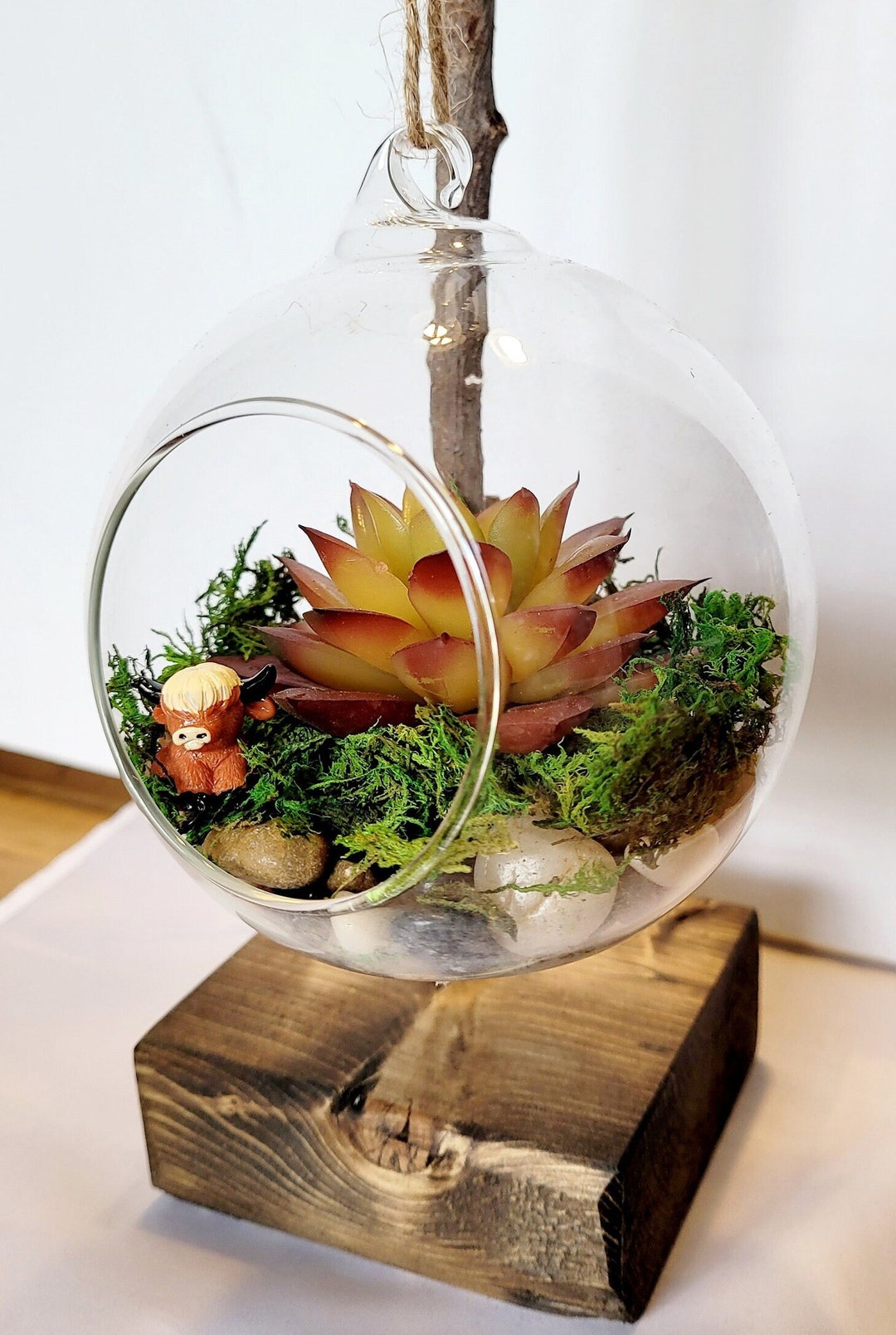 DIY Terrarium Kit, Craft Kit, Terrarium, Rustic Decor, Mom Craft ...