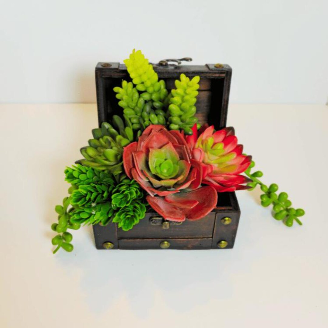 Treasure Chest Succulent, Succulent Planter, Treasure Chest Decor ...