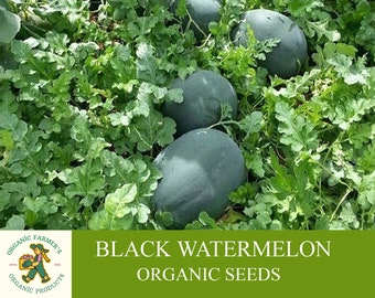 Black Watermelon Seeds - Etsy
