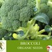 Broccoli Organic Seeds, 100+ Count Broccoli Seed, Broccoli Plant Seeds ...