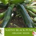 Native Black Gourd Organic Seeds, 30 Count Native Gourd Seeds, Black ...