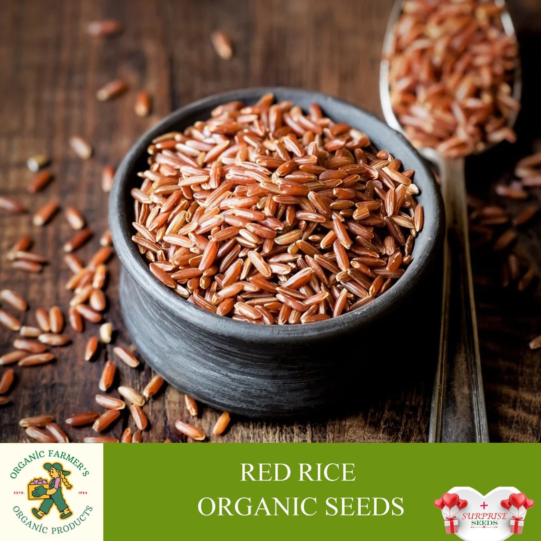 Red Rice Organic Seeds, 100+ Count Red Rice Seed, Rice Plant Seeds for Pot and Garden, Non-gmo ...