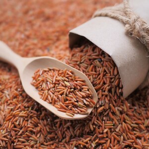 Red Rice Organic Seeds, 100+ Count Red Rice Seed, Rice Plant Seeds for ...