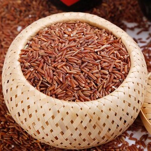 Red Rice Organic Seeds, 100+ Count Red Rice Seed, Rice Plant Seeds for ...