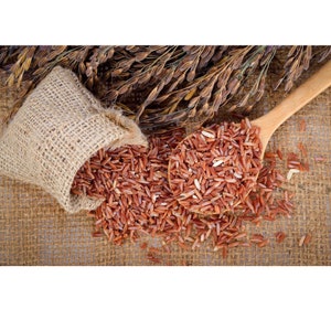 Red Rice Organic Seeds, 100+ Count Red Rice Seed, Rice Plant Seeds for ...