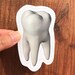 Tooth Sticker, Molar Sticker, Dental Sticker, Laptop Sticker - Etsy