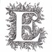 Letter E Illustration, Letter E Drawing, Monogram Art, Typography Art ...