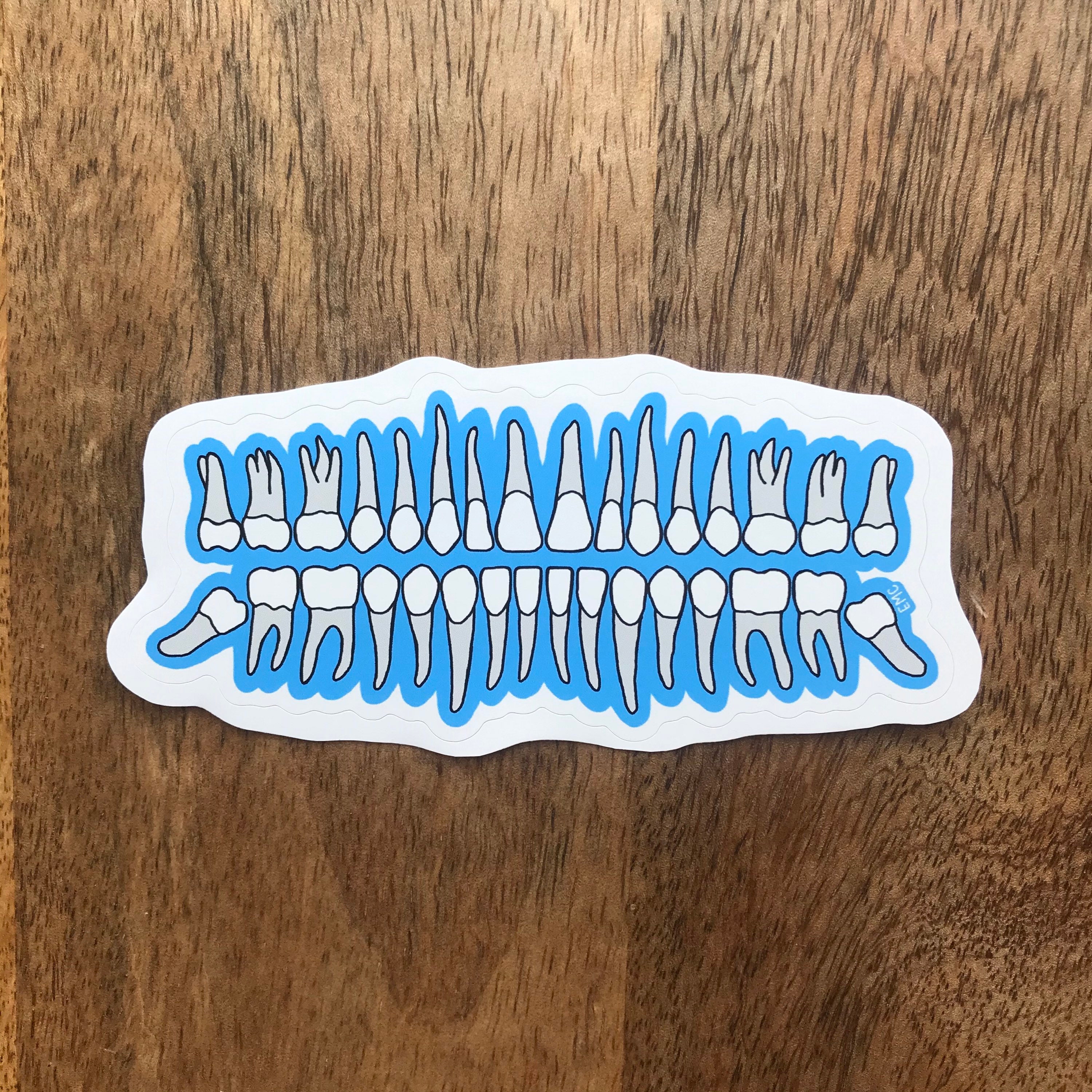 Dentition Sticker Teeth Sticker Dental Hygiene Sticker - Etsy Denmark