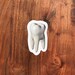 Tooth Sticker Molar Sticker Dental Sticker Laptop Sticker - Etsy