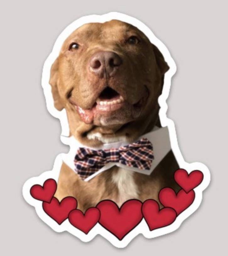 Custom Dog Sticker Custom Dog Sticker Custom Cat Sticker | Etsy