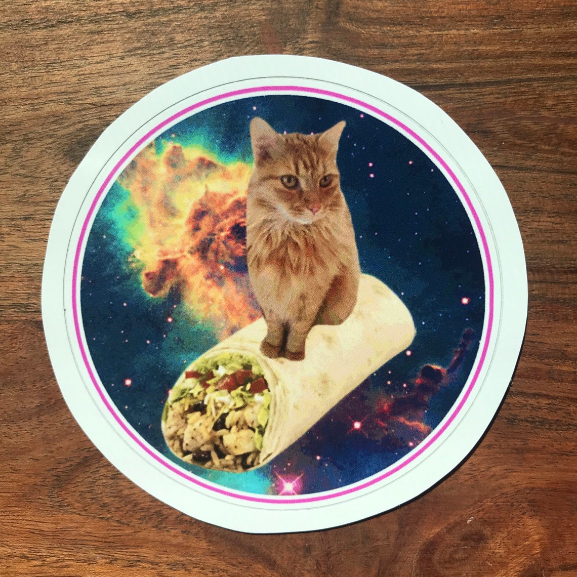 Space Cat on Burrito Sticker Galaxy Cat Sticker Funny - Etsy