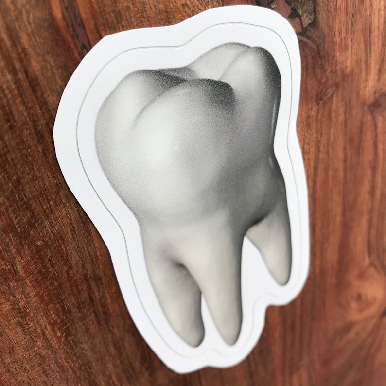 Tooth Sticker Molar Sticker Dental Sticker Laptop Sticker | Etsy