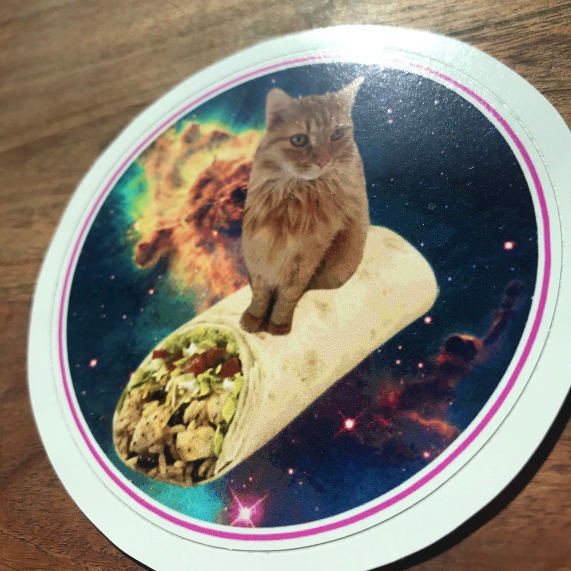 Space Cat on Burrito Sticker, Galaxy Cat Sticker, Funny Sticker, Laptop ...