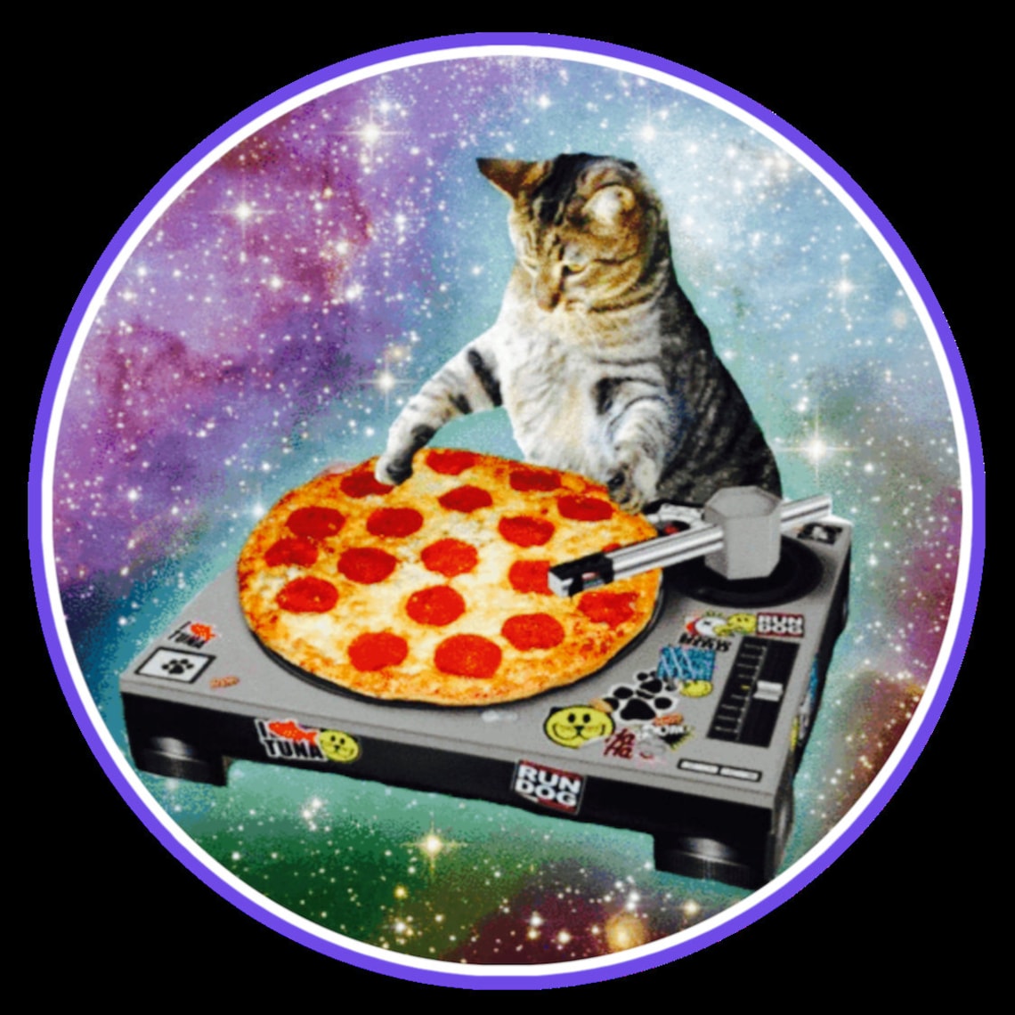 Galaxy Cat Pizza DJ Sticker Space Cat Sticker Funny Sticker | Etsy