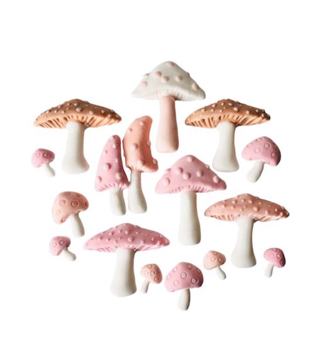 Toadstool Cake Toppers. - Etsy