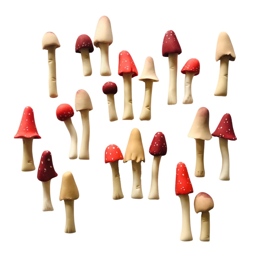 3D Edible Toadstool Cake Toppers. - Etsy