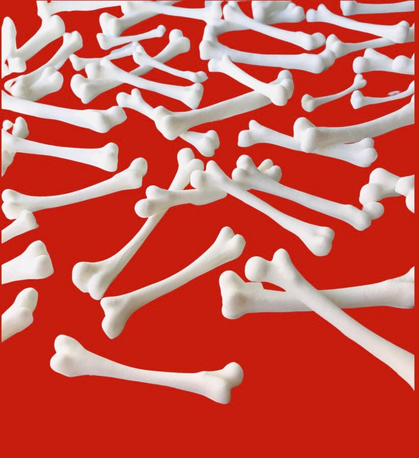 Edible Bones/cake Toppers/halloween | Etsy