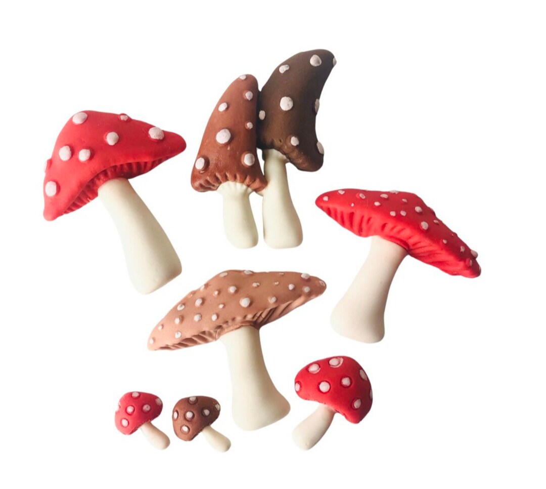Edible Toadstools/cake Toppers - Etsy