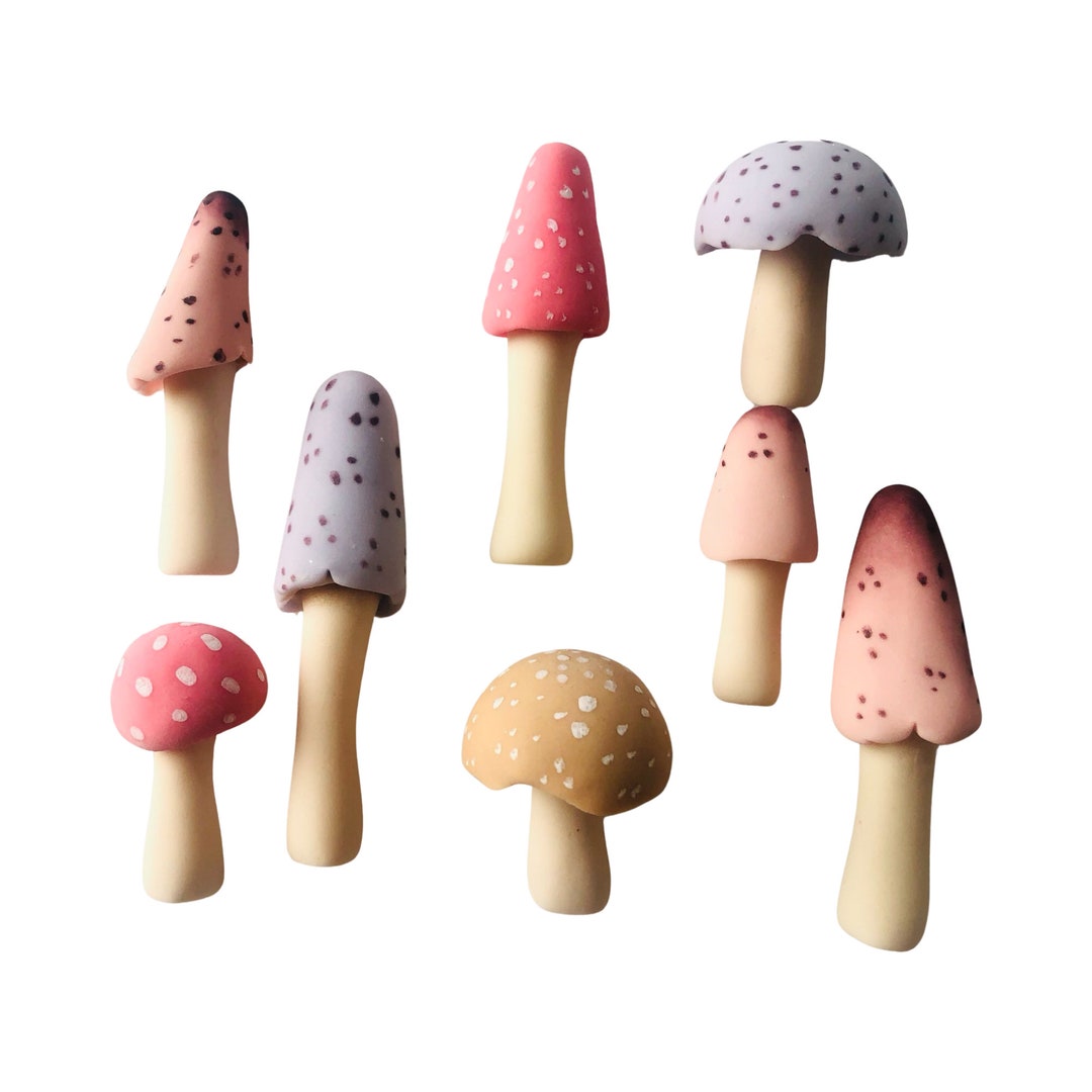 3D Edible Toadstool Cake Toppers. - Etsy