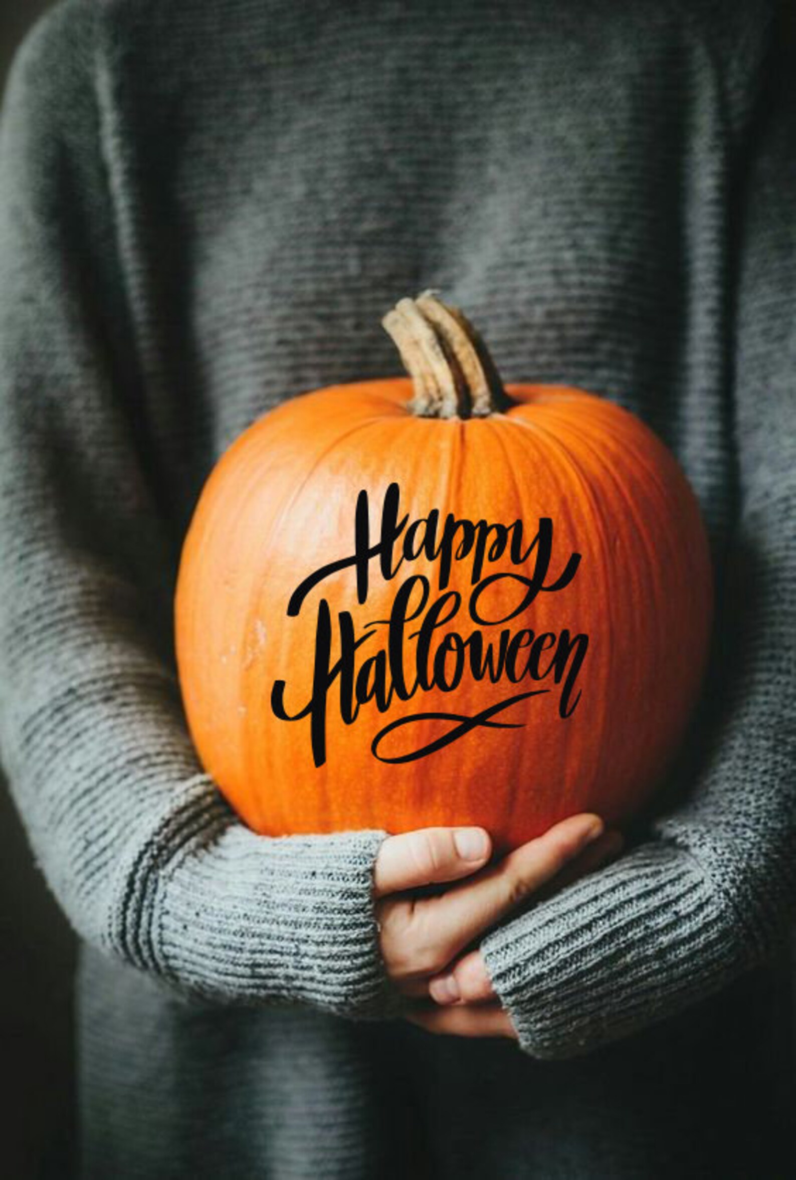 Pumpkin Decals, Happy Halloween Vinyl Decal, Trick or Treat and Spooky ...