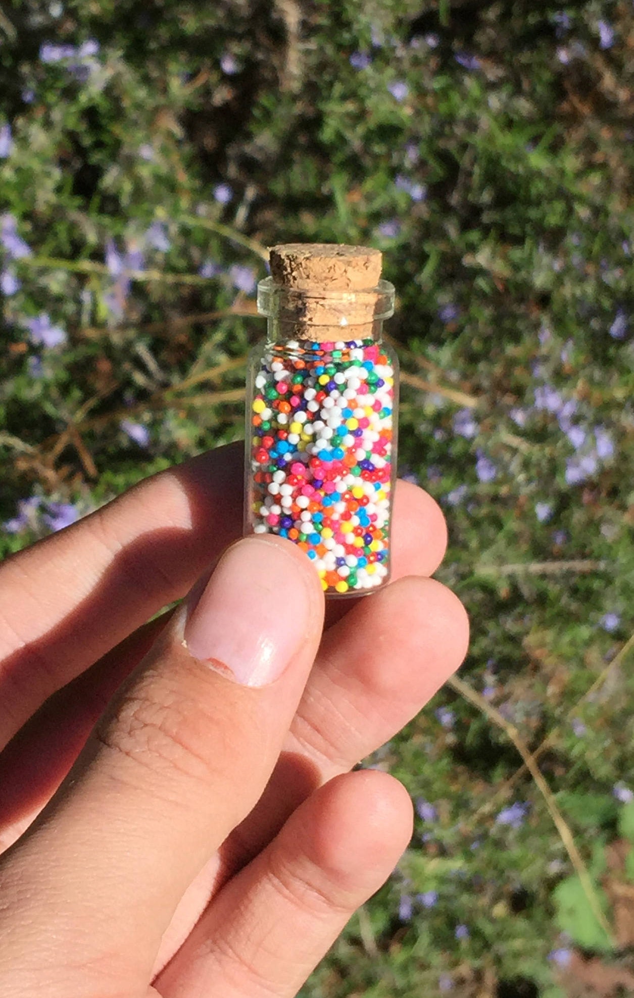 Rainbow Sprinkle Jar - Etsy