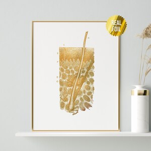 Skin Anatomy Art Dermatology Foil Print Medical Student Gift Skin Care ...