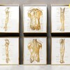 Skin Anatomy Art Dermatology Foil Print - Medical Student Gift - Skin ...