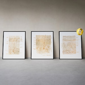 Esthetician Skin Anatomy Art Foil Print Set of 3 Dermatologist Gift ...