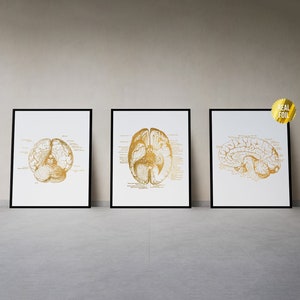 Brain - Etsy