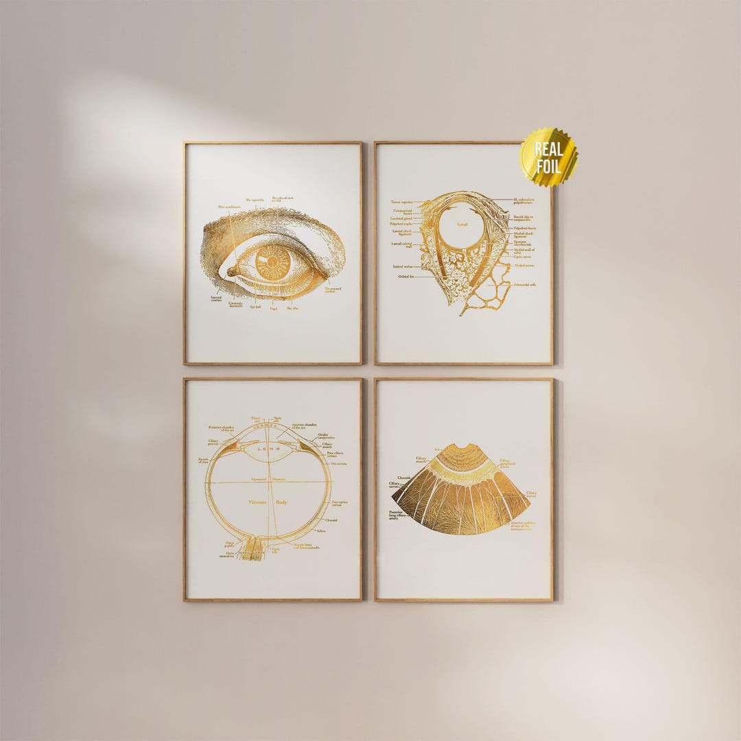 Vintage Eye Anatomy Foil Print Set of 4 - Optometrist Gift - Optician ...
