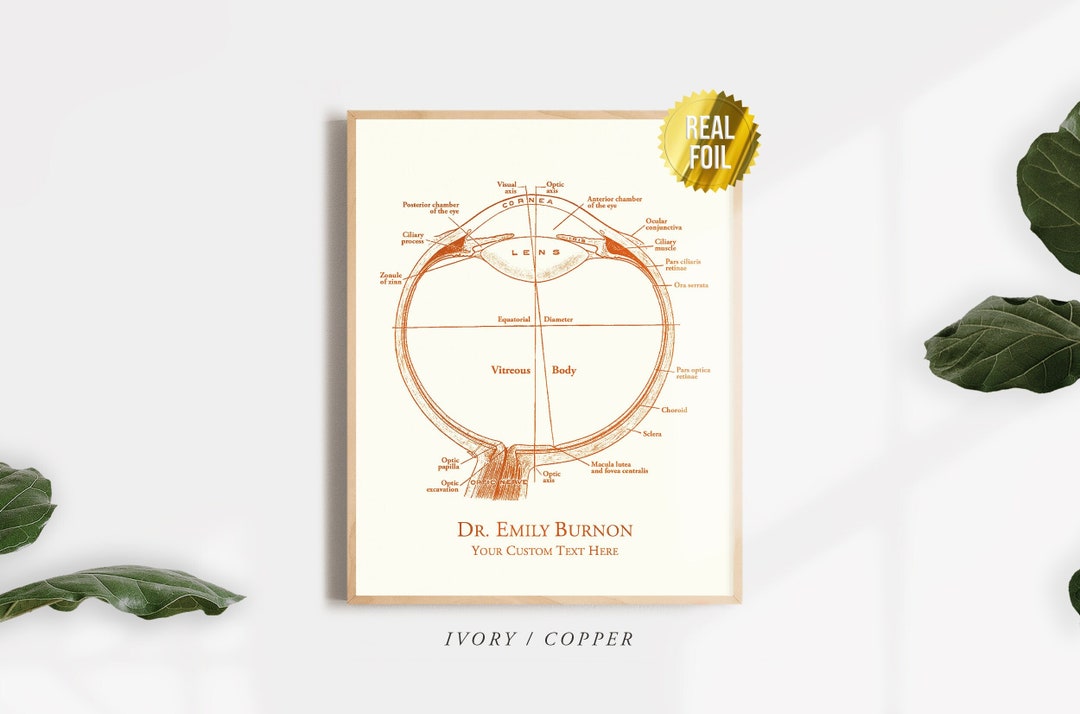 Personalized Optometry Wall Art Foil Print Optometry Eye Anatomy ...