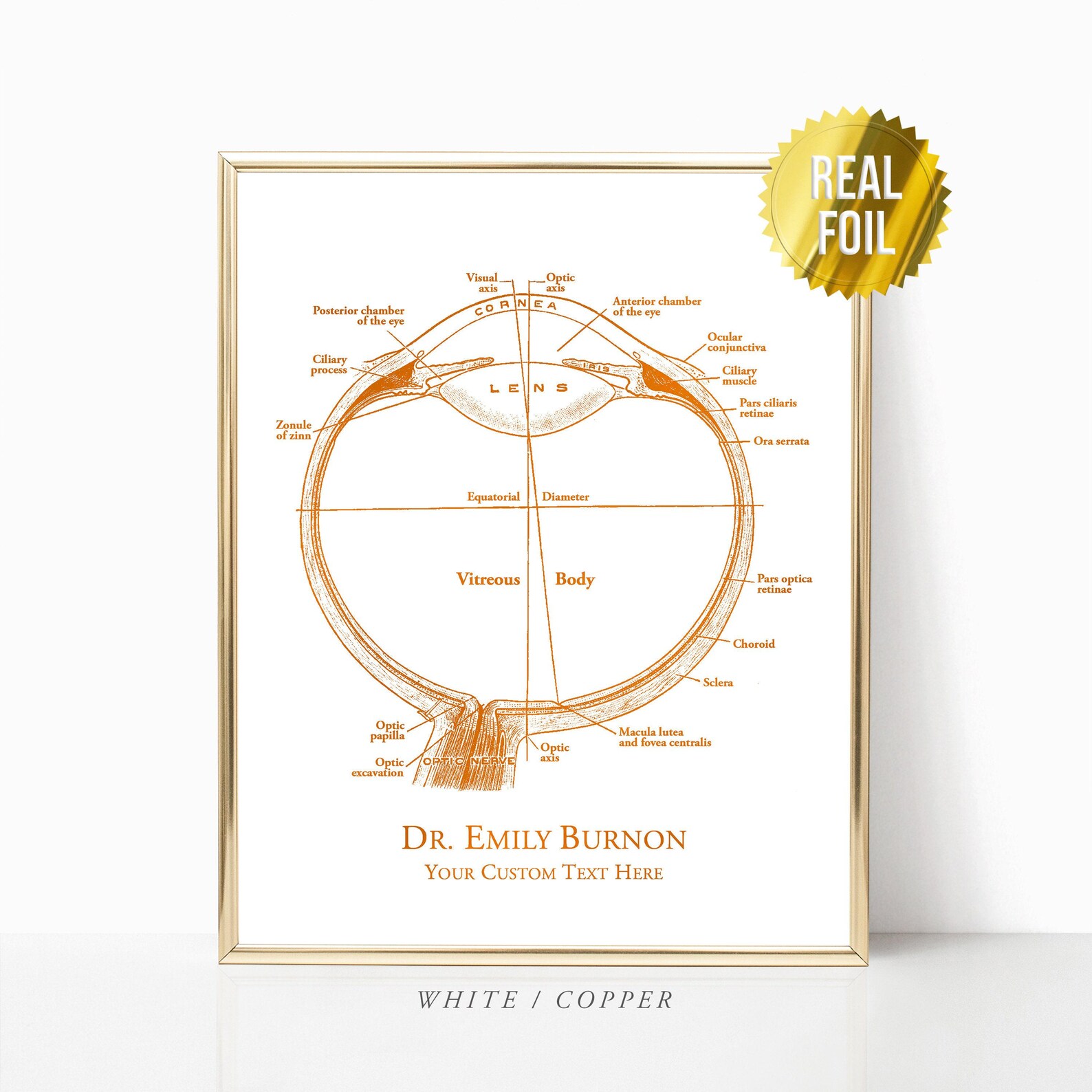 Personalized Optometry Wall Art Foil Print - Optometry Eye Anatomy ...