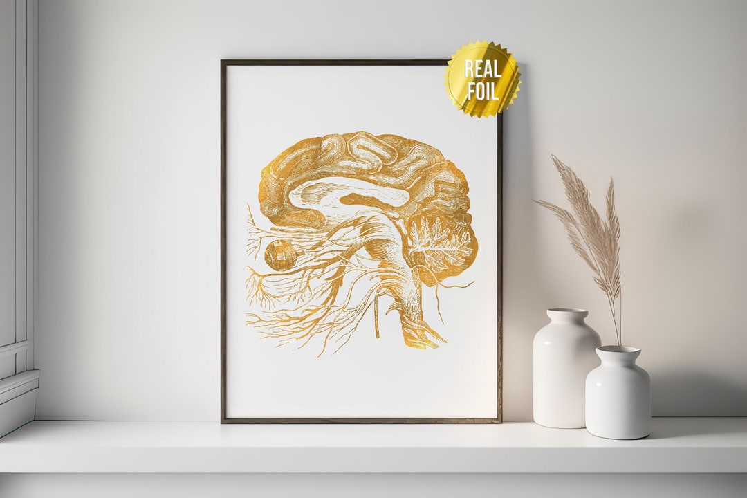 Human Brain Anatomy Foil Print Greys Anatomy Doctors Office Decor ...