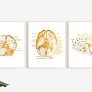 Brain - Etsy