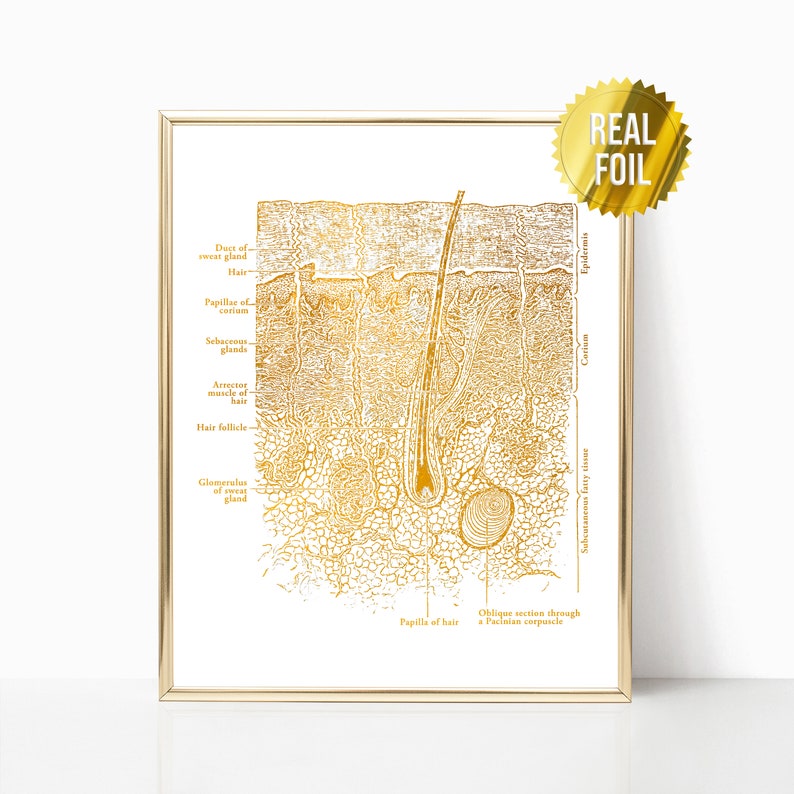 Dermatologist Gift Medical Art Foil Print Esthetician - Etsy