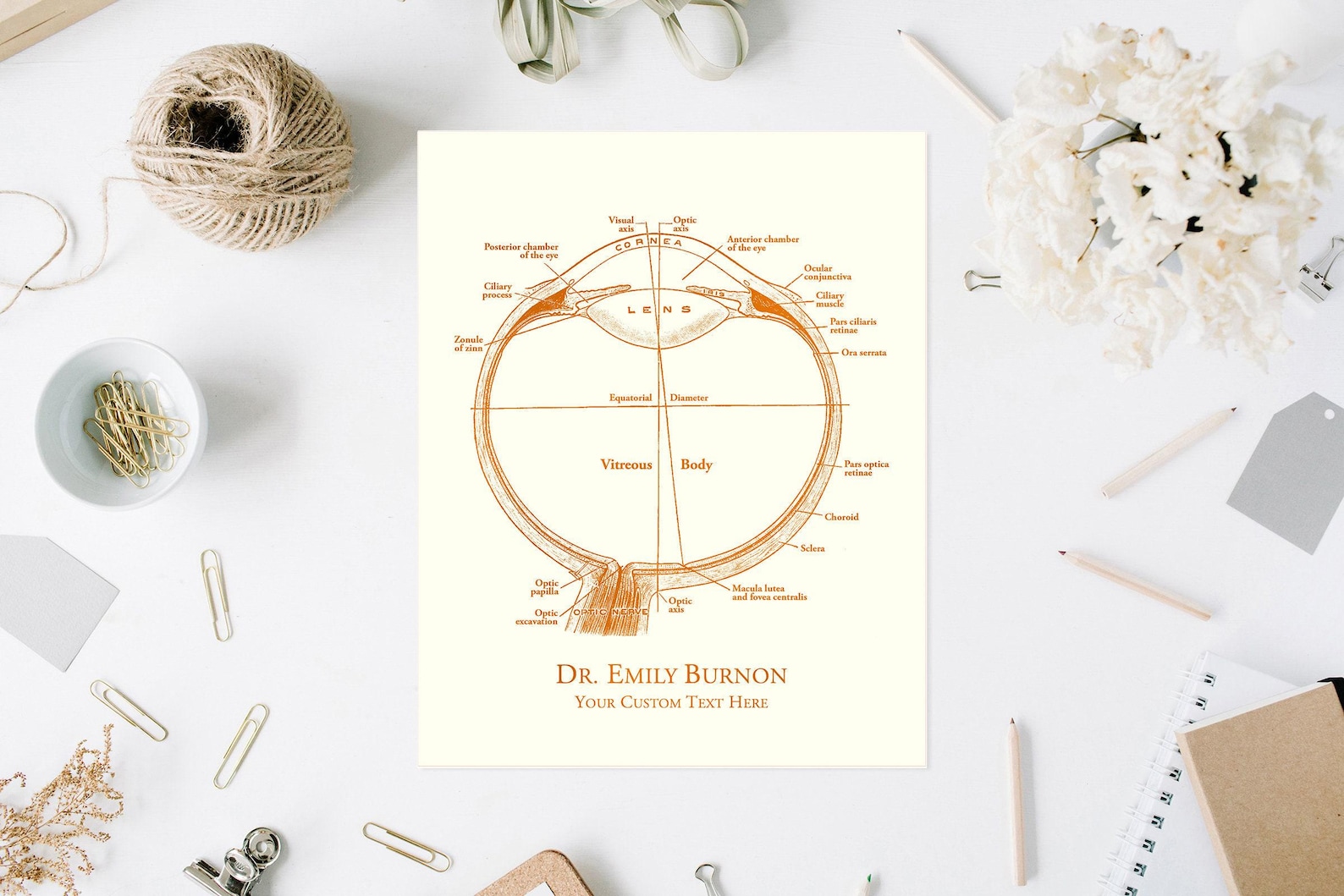 Personalized Optometry Wall Art Foil Print - Optometry Eye Anatomy ...