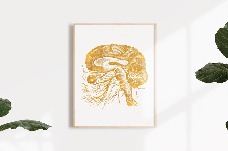 Human Brain Anatomy Foil Print Greys Anatomy Doctors - Etsy